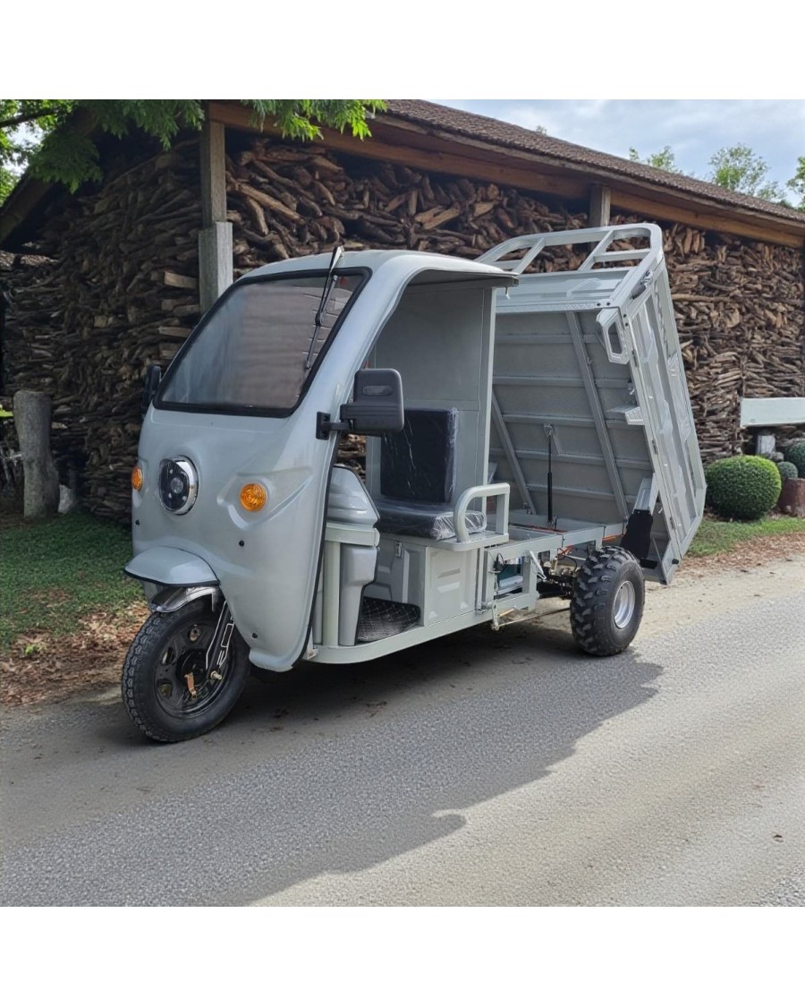 Elektrinis krovininis triratis motoroleris SL-06-S | RideOn.lt