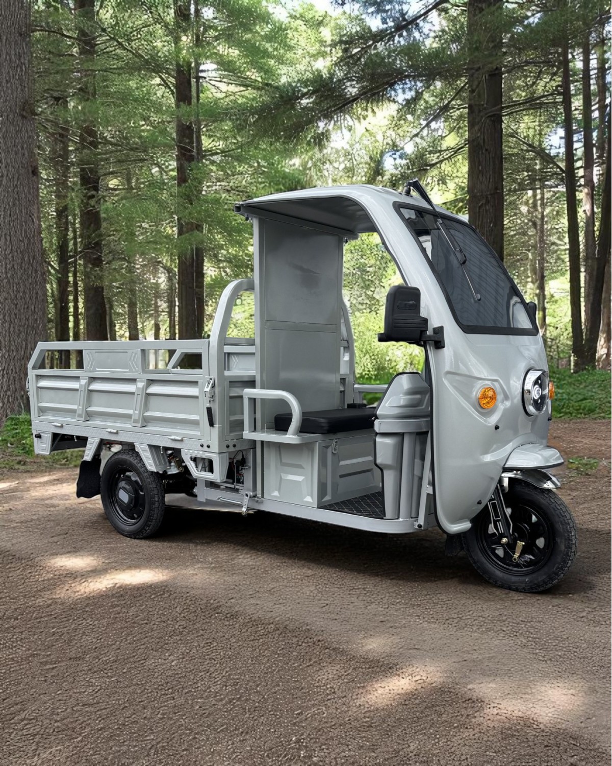 Elektrinis krovininis triratis motoroleris SL-06-S | RideOn.lt